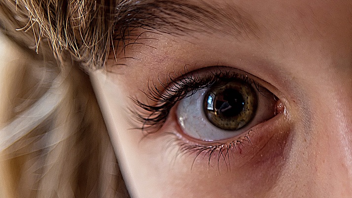 Revised Practice Direction 12J - Child Arrangements and Contact Orders ...